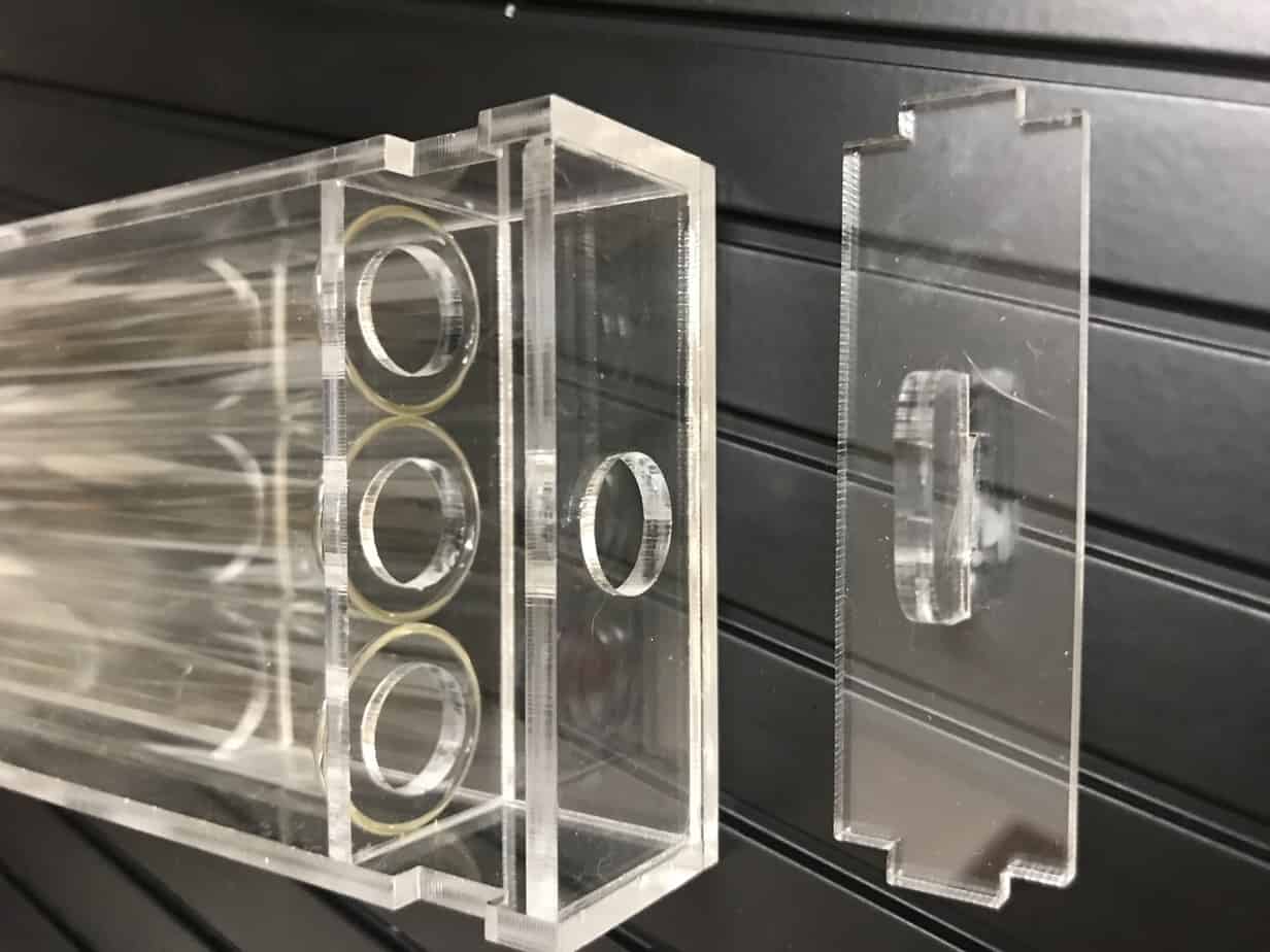 Myrmecia Bullant Pyriformis Queen in founding Bullant Den with brood ...