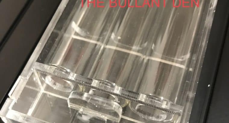 Myrmecia Bullant Pyriformis Queen in founding Bullant Den with brood ...